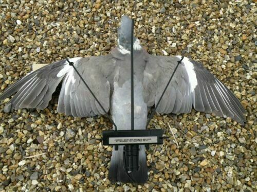 Turbo Pigeon Flapper with Optional Extras Battery and Charger Timer ...
